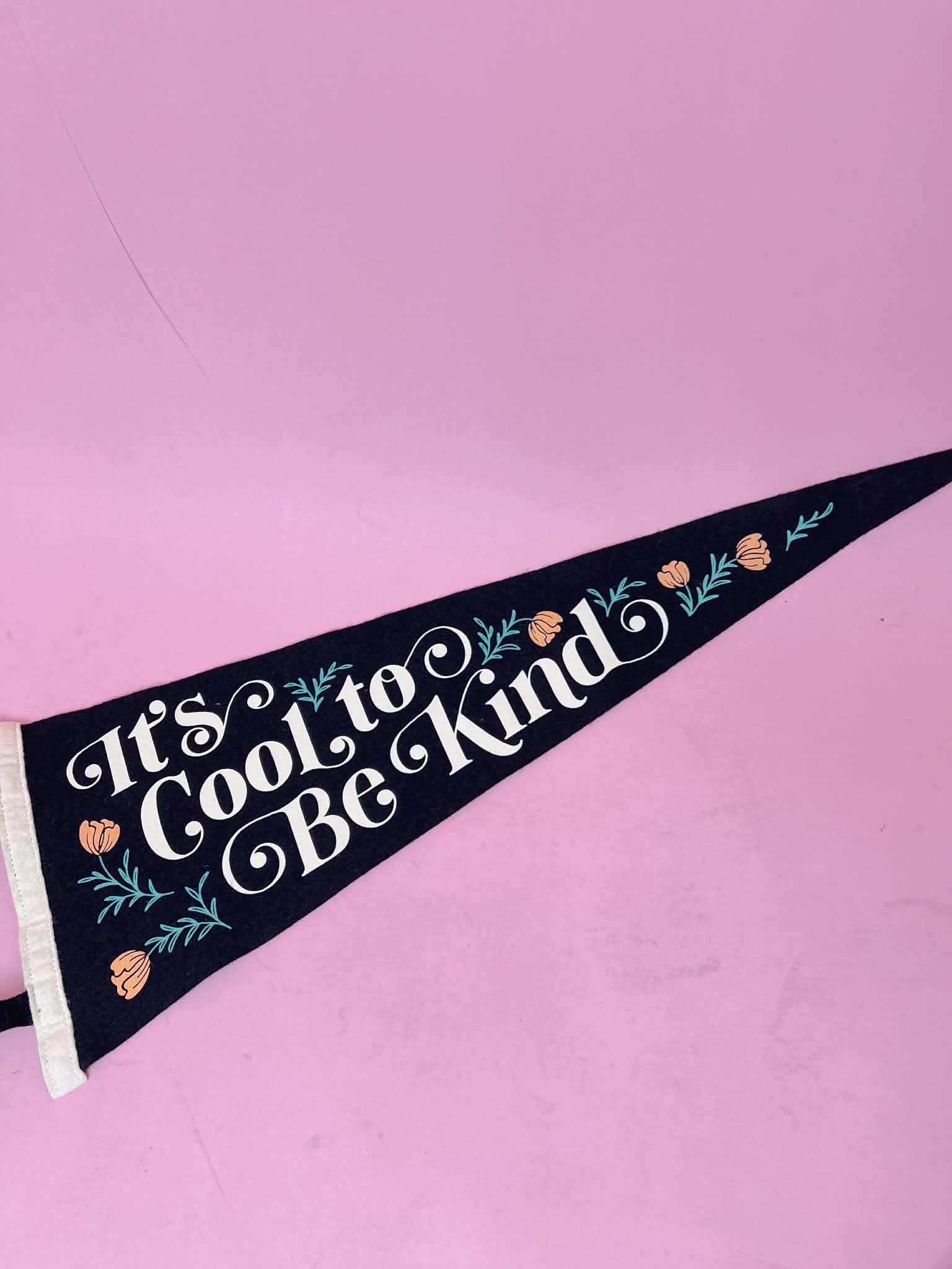 It's Cool To Be Kind Pennant Flag – Shop The Pug
