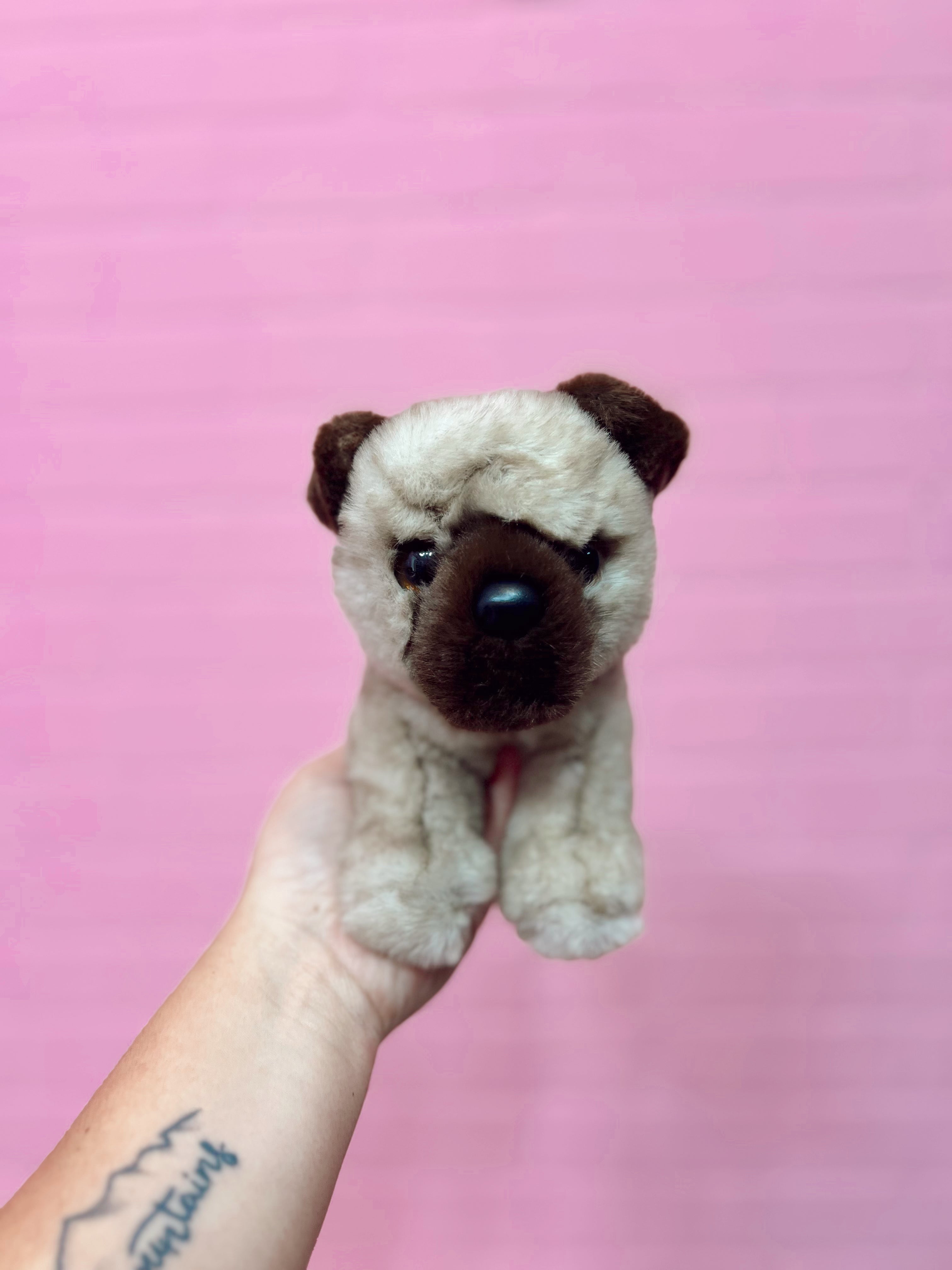 Lil' Puggie Stuffed Animal – Shop The Pug